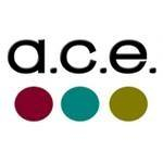 A.C.E. – Room To Reward